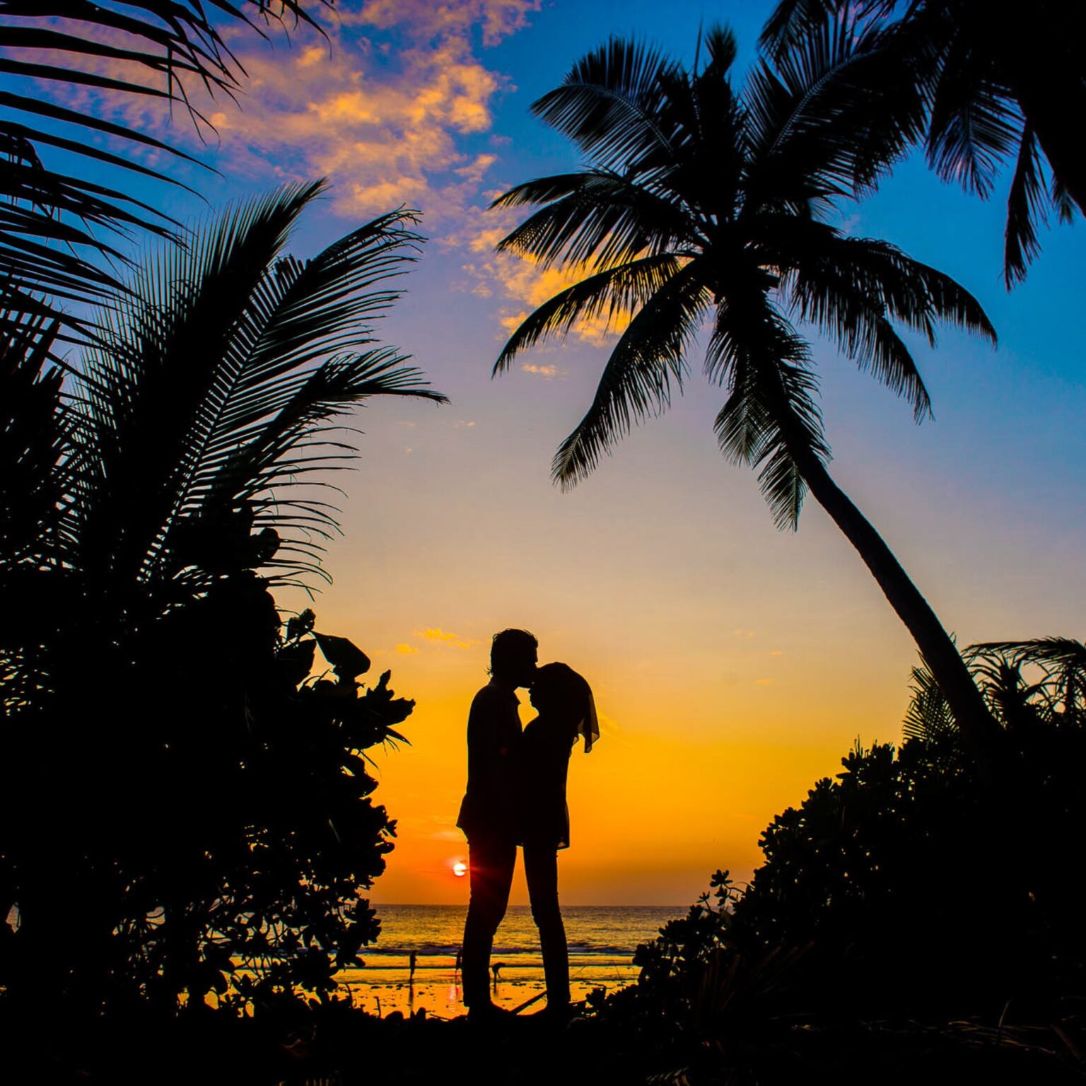 Wonder Events Fair – Wonderland Resort